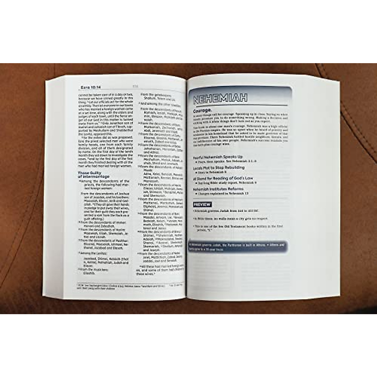 NIV, Teen Study Bible (For Life Issues You Face Every Day), Paperback, Comfort Print