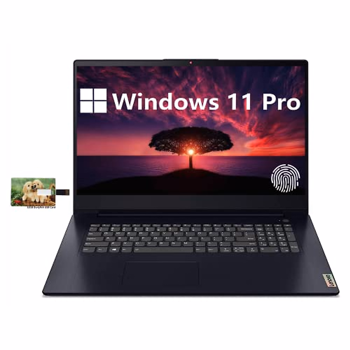 New Lenovo IdeaPad 3 Business Laptop, 17.3" HD Display, AMD Ryzen 5 5500U, Windows 11 Pro, 512GB SSD, 20GB RAM, Fingerprint, 32GB Durlyfish USB Card