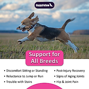 HappyFellow Hip and Joint Supplement for Dogs - Chondroitin Glucosamine for Dogs Dog Joint Supplement - Dog Vitamins and Supplements - 140 Soft Chews