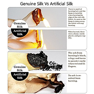 Salutto Women 100% Silk Scarves PaintedLotus Pond Scarf