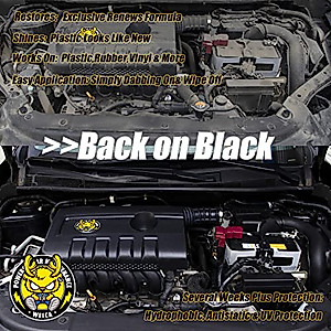 WEICA Plastic Restorer - Quick Coat Back On Black Gloss Trim Restorer Cream, Automotive Plastic Care Highly Concentrated Kit 3.4 fl oz, Easily Applies in Minutes,Extended Durabilily-Lasts For Weeks