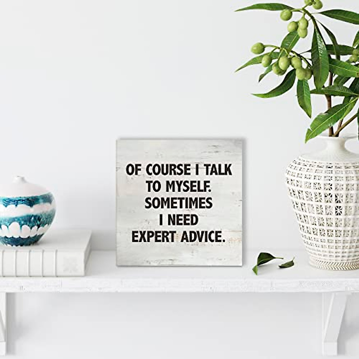 Of Course I Talk to Myself Sometimes I Need Expert Advice Wood Box Sign Rusitc Wooden Box Sign Farmhouse Home Office Desk Shelf Decor (5 X 5 Inch)