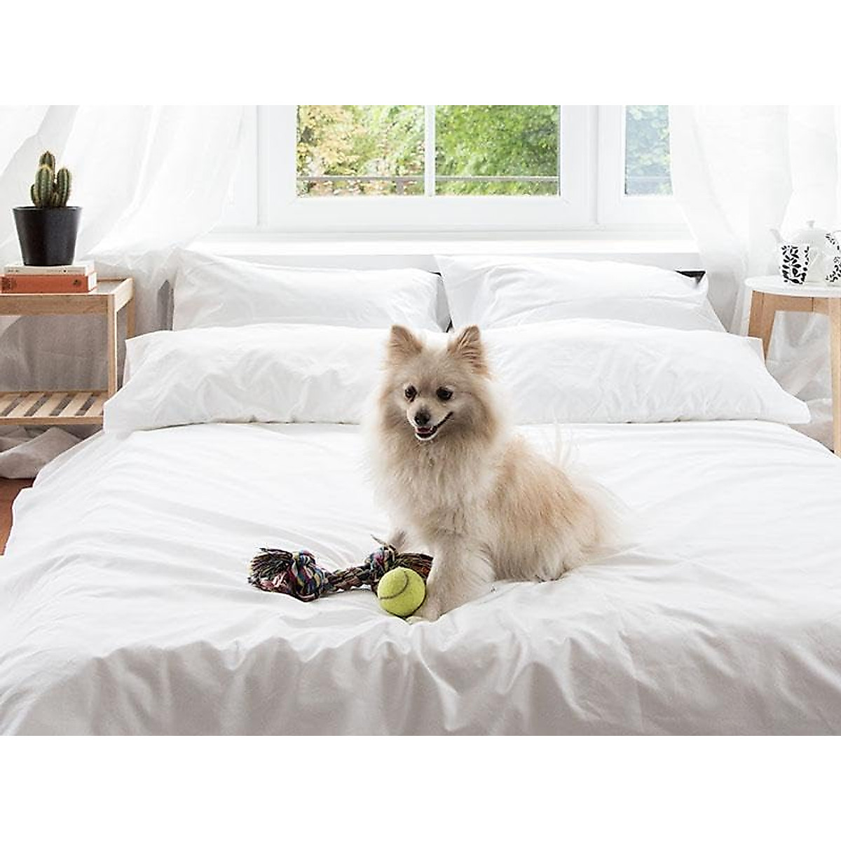 New Organic Cotton Sateen Fitted Sheet for Supreme Comfort and Durability - Fitted Sheets only Cotton-90 x 200cm (EU) size.