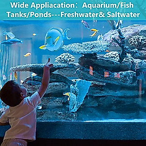 9 in 1 Aquarium Water Test Kit, 100 Strips Aquarium Test Strips Freshwater Saltwater Aquarium Test Kit Easy Accurate to Monitor Aquarium Fish Tank Water for Copper, pH, Nitrite,Nitrate and Mor