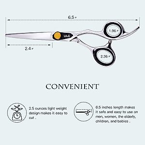 Professional Hair Cutting Scissors, 6.5 Inch ULG Barber Shears Scissors, Japanese Stainless Steel Haircut Scissors, Salon Razor Edge Series Hair Scissors with Adjustment Tension Screw