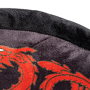 Jay Franco Game of Thrones Targaryen Shaped Decorative Pillow - Super Soft Throw Plush Pillow - Measures 14 Inches (Official Game of Thrones Product)