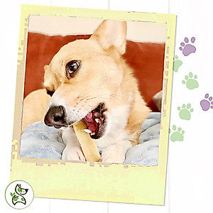 Nature Gnaws Yak Chews for Dogs - Premium Natural Hard Cheese Bones - Long Lasting Dog Chew Treats for Agressive Chewers - Rawhide Free - 1lb