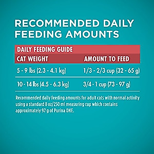 Purina ONE Natural Dry Cat Food, Tender Selects Blend With Real Salmon - 16 lb. Bag