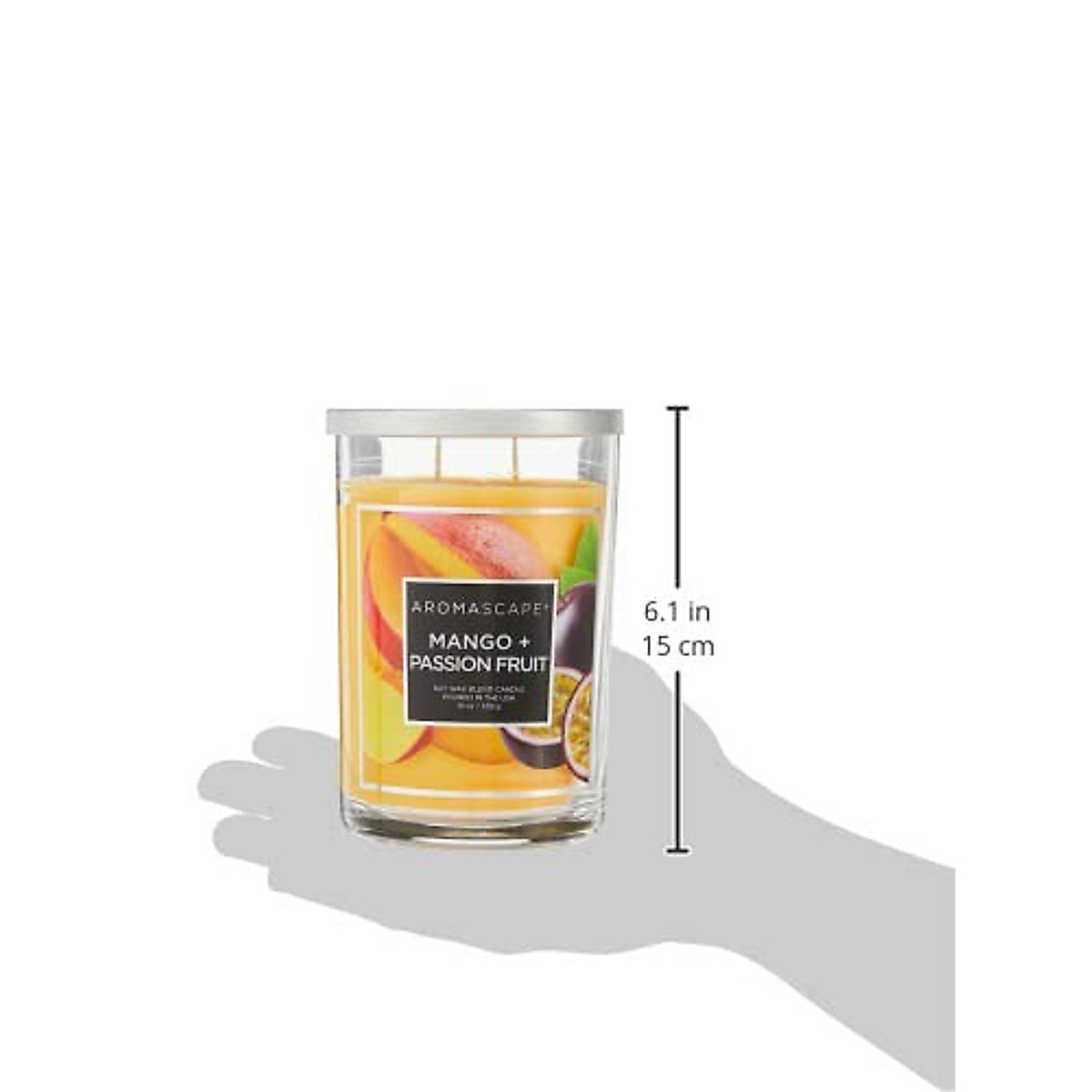 Aromascape PT41924 2-Wick Scented Jar Candle, Mango & Passion Fruit, 19-Ounce, Orange