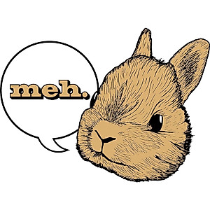 CafePress Rabbit Meh Ceramic Coffee Mug, Tea Cup 11 oz