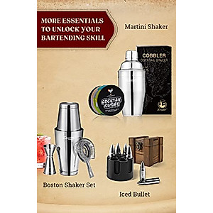 KITESSENSU Cocktail Shaker, 18oz Martini Shaker with Strainer, Premium 18/8 Stainless Steel Cobbler Drink Shaker, Recipes Booklet Included