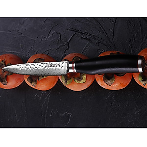 YOUSUNLONG Paring Knife 3.5 inch Peeling Knives Japanese 67 Layers Hammered Damascus Steel with Natural Leadwood Handle