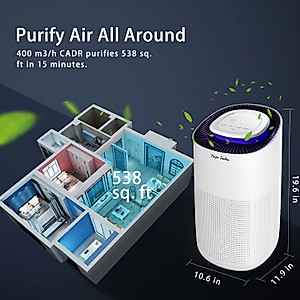 Hepa Filter Replacement for Taylor Swoden Air Purifier B08887JNHC Model 330600IBB