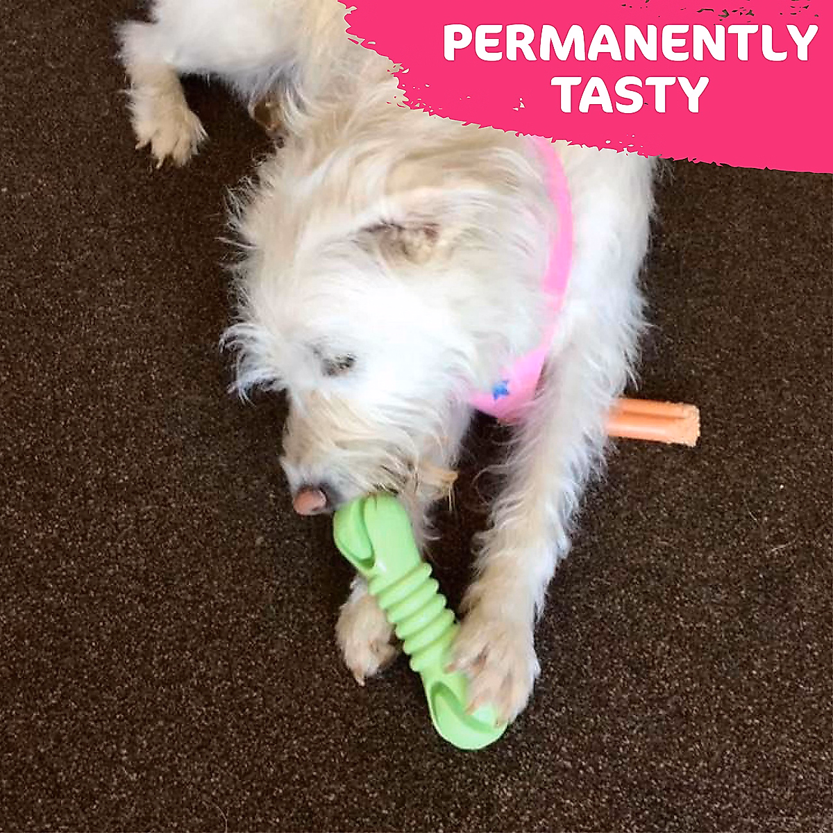 TastyBone Dental Bone Dog Chew Toy (One Size) (Cinnamon Mint)