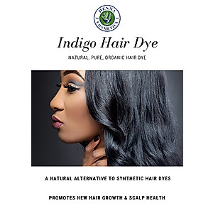 Henna Cosmetics Indigo Powder Natural Hair Dye Kit | Organic Black 100 Grams (3.52 Ounces)