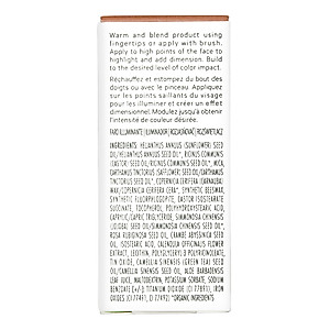 Well People Supernatural Stick Highlighter, Highlight Stick For Hydrated, Dewy Skin, Use On Lips, Cheeks & Eyelids, Vegan & Cruelty-free, Golden Glow