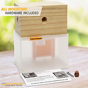 Bee Warehouse - Carpenter Bee Trap - Wood Boring Bee Trap - Unique Catch & Release Outdoor Carpenter Bee Trap - Includes Hanging Hardware & 5 Bee Dams