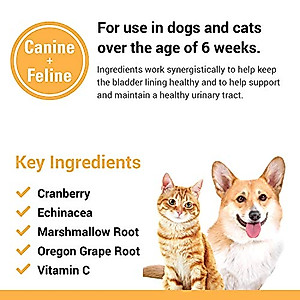 Vet Classics Cranberry Comfort Urinary Tract Pet Supplement for Dogs, Cats – Maintains Dog Bladder Health, Cat Bladder Control – Pet Supplements for Incontinence – 120 Soft Chews