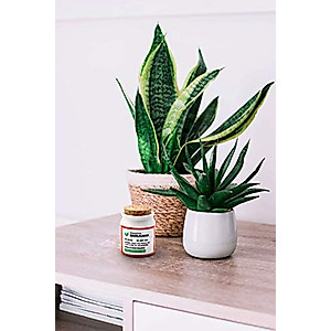 FASHIONCRAFT Fashion Craft 88018 stash jar-Prescription-Small-from Gifts, White