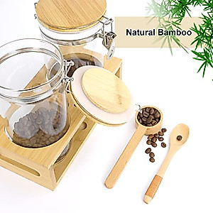 Glass Coffee Containers with Airtight Locking Clamp Bamboo Lids,2Pcs 45oz BPA Free Coffee Canister Set Bean Storage with Scoop and Measuring Spoon,Large Capacity Glass Food Storage Jars for Tea Sugar