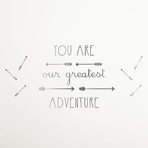 Levtex Baby - Emerson Crib Bed Set - Baby Nursery Set - Navy, Blue, Grey and Tan - Animal Adventure - 4 Piece Set Includes Quilt, Fitted Sheet, Wall Decal & Dust Ruffle