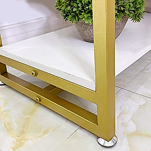 FONECHIN Metal Garment Rack with 2 Wood Shelves Gold Clothing Rack Heavy Duty Free-Standing Retail Display Clothes Racks for Hanging Clothes Boutique Store 59"