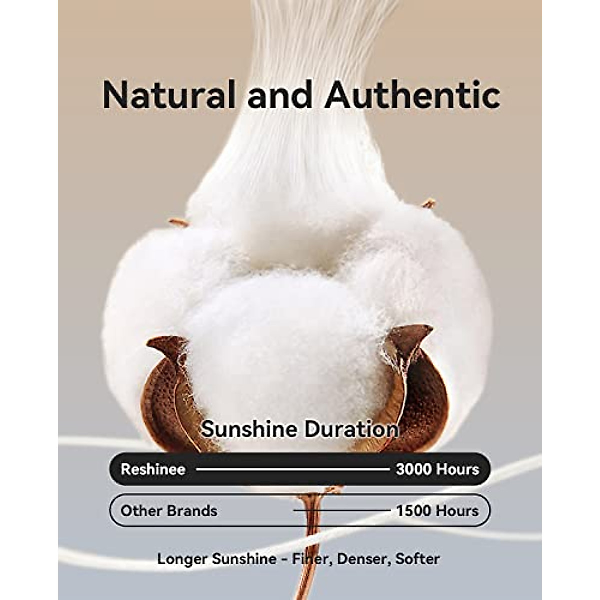 Reshinee Cotton Women's Underwear Breathable Full Briefs Soft Panties Comfort Underpants Ladies Panties 4 Pack