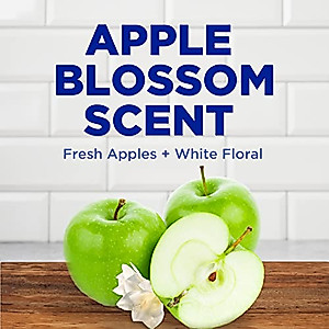 Dawn Dish Soap, Antibacterial Hand Soap, Dishwashing Liquid, Apple Blossom Scent,19.4 Oz, Pack Of 4 + 2 Sponges