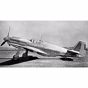 Wings of War: The World War II Fighter Plane that Saved the Allies and the Believers Who Made It Fly