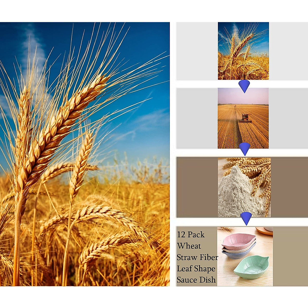 VinBee 12 Pack Leaf Shape Sauce Dish, Sauce Dipping Bowls Wheat Straw Soy Sauce Dishes Mini Dinnerware Plate Condiment Dish for Paste Jam Sushi Assorted