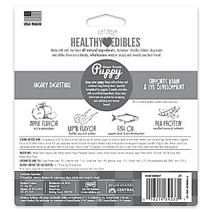 Nylabone Healthy Edibles Puppy Natural Long Lasting Dog Chew Treats Lamb & Apple Small/Regular (4 Count)