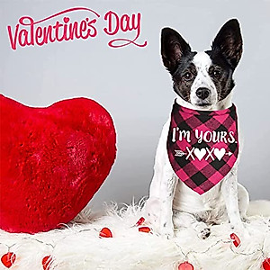 JOTFA 2 Pack Valentine’s Day Dog Bandanas, Plaid Dog Puppy Valentines Bandana Scarf for Small Medium Large Dogs Pets (Red & Pink)