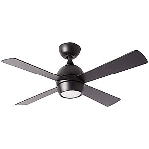 Fanimation 44 inch Indoor Ceiling Fan with LED Light Kit - Black