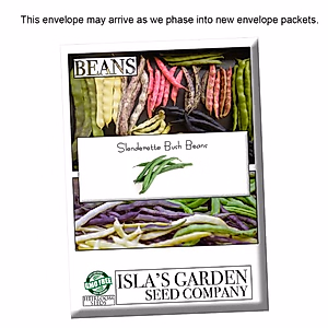 "Slenderette" Bush Bean Seeds for Planting, 50+ Heirloom Seeds Per Packet, (Isla's Garden Seeds), Non GMO Seeds, Scientific Name: Phaseolus vulgaris, Great Green Bean Variety for Home Garden
