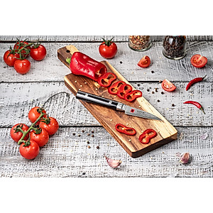 Kasumi - 3 inch Paring Knife