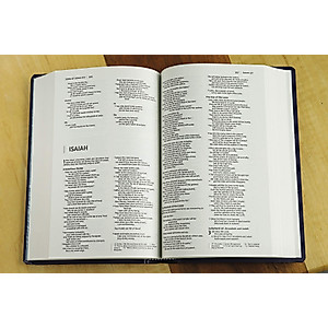 NIV, Gift and Award Bible, Leather-Look, Blue, Red Letter, Comfort Print