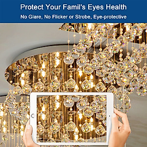 GY6.35 Light Bulbs, 12V 35W Crystal Clear Halogen Bulb 2 Pin, T4 JC Bi-Pin Base G6.35 Capsule Bulb, Dimmable, 2700K Warm White, 2 Prong Light Bulb for Pendant Light, Microwave Oven, Table Lamp, 2Pcs