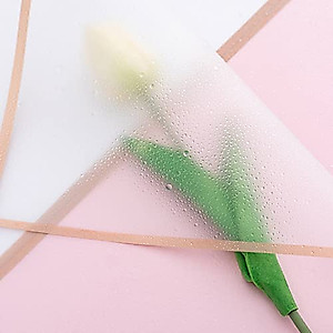 Leoyoubei 40 Counts Transparent Flower Wrapping Paper,Florist Bouquet Supplies,DIY Crafts,Gift Packaging or Gift Box Packaging,Wraps Waterproof Frosted Floral Wrapping Paper 23x23,Gold Border