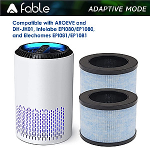 H13 Premium True HEPA Filter, DH-JH01 Upgrade HEPA Filter Replacement for Aroeve MK01 MK06, Pomoron and Kloudi DH-JH01, Intelabe EPI080/EP1080 & Elechomes EPI081/EP1081, 2 Pack