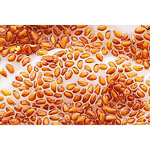 Hemani 100% Pure Garden Cress Seeds - Lepidium sativum - Halim Aliv - Rashad Seed - 200g (7oz) - ???? ??????