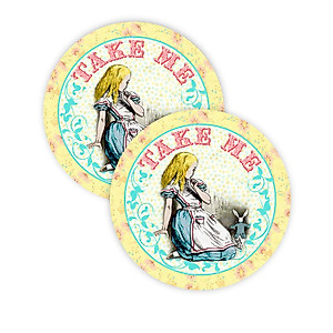 Alice in Wonderland Party Favor Stickers - 40 Favor Bag Stickers - Alice in Wonderland Thank You Tag - Alice in Wonderland Party Supplies - Alice in Wonderland Party Decorations - Stickers A