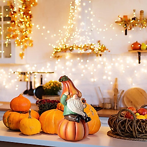 Jetec Fall Gnomes Statue Decor, Thanksgiving Gnome Pumpkin Gnome White Beard Gnome Statue Fall Pumpkin Fairy Statue Resin Pumpkin Decor Garden Yard Lawn Ornament Gift, 6.7 Inch Tall