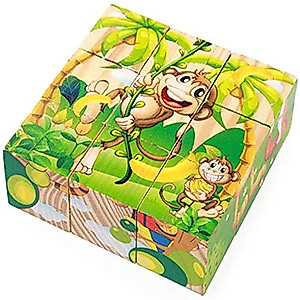 elecnewell Wooden Cube Puzzle with Storage Tray - 6 Puzzles in 1 (9 pcs)