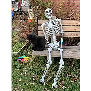 2Packs 5.4ft Halloween Human Skeletons Life Size Full Body Bones with Movable Joints for Halloween Props Spooky Party Decoration