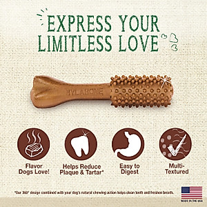 Nylabone Nutri Dent Dog Dental Chews - Natural Dog Teeth Cleaning & Breath Freshener - Dental Treats for Dogs - Filet Mignon Flavor, Small (64 Count)