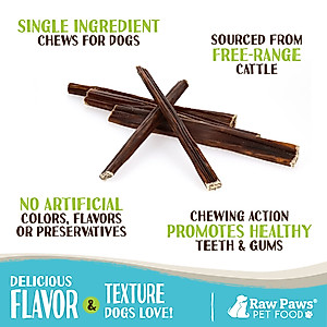 Raw Paws Beef Gullet Sticks for Dogs, 6-inch, 10-ct - Free-Range Cows Raised Without Antibiotics or Added Hormones - Gullet Sticks for Small Dogs to Large Dogs - Beef Esophagus Dog Treats