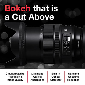 Sigma 24-70mm F2.8 Art for Canon Camera Bundle with Canon 24-70mm f2.8 Sigma Lens, Lens Front and Rear Caps, Lens Hood, Lens Case, 2X 64GB SanDisk Memory Cards (7 Items) - Sigma 24-70 24mm to 70mm