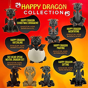 Baby Black Dragon Raising Middle Finger Funny Figurine - Home Décor Art Housewarming Gift, New Home Gift Ideas for Women Men Friends, New Apartment Gift Ideas Decor, Unique Housewarming Gifts
