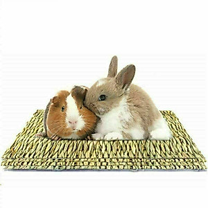 TEAFIRST Animal Hamster Grass Chew Mat Breakers Toy Pet Rabbit Rat Guinea Pig House Pad (Large)