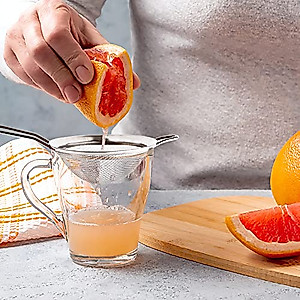 Fine Mesh Strainer Stainless Steel 3 Inch Small Mini Tea Strainer Cocktail Food Coffee Sturdy Long Handle Double Straining Sifter Kitchen Metal Bar Sieve Utensil strainer for juicing (Silver)